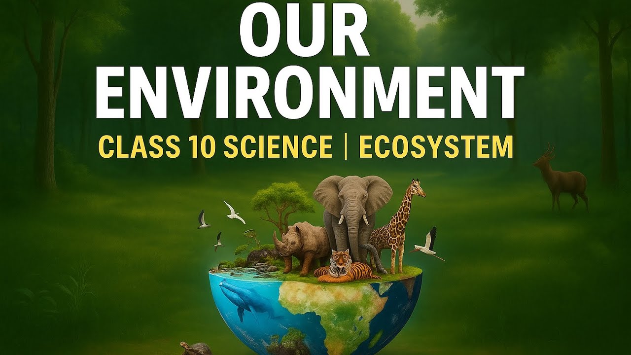 Our Environment || class 10th Science || Ecosystem || complete and easy ...