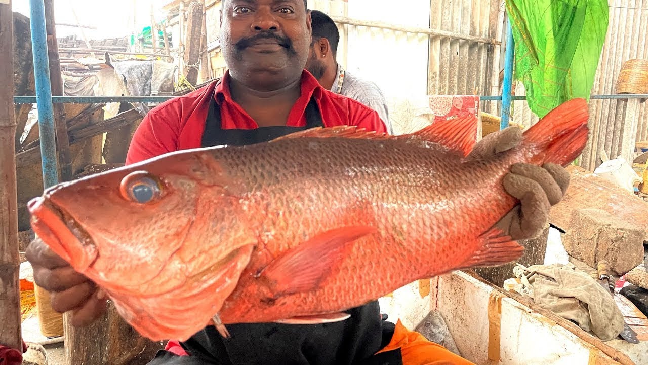 KASIMEDU SPEED SELVAM RED SNAPPER FISH CUTTING 💥 IN KASIMEDU FISH CUTTING 💥 - YouTube