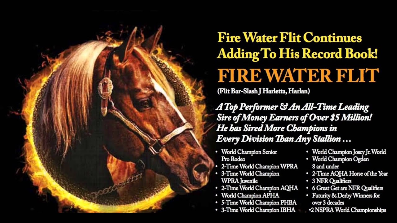 Two Tru SpiritNFire - Firewater Flit Bred Mare - Awesome Prospect - She ...