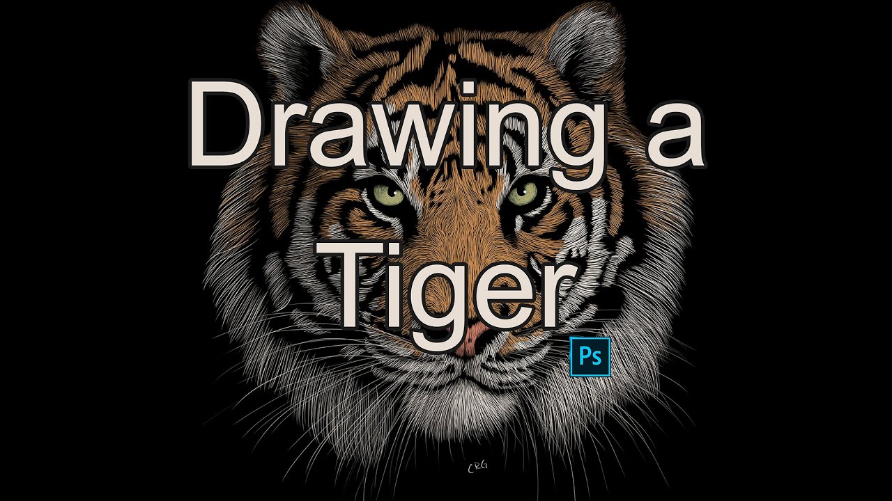 How to Draw a Tiger - YouTube