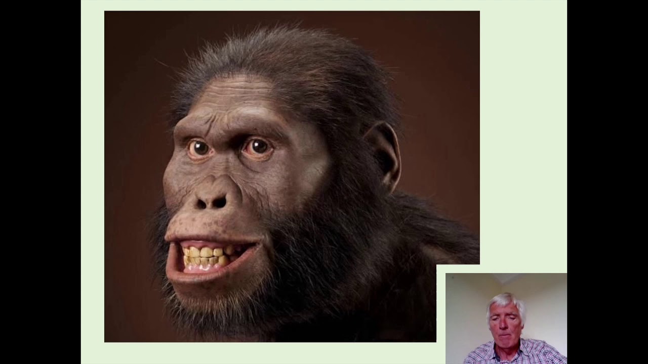 Preview: The Maturing of Mankind (Neil Meldrum) - YouTube