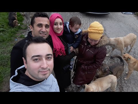 Duygu Dolu Anlar I Sevimli Dostlar *Köpekler* I Hafta Sonu ÖZEL