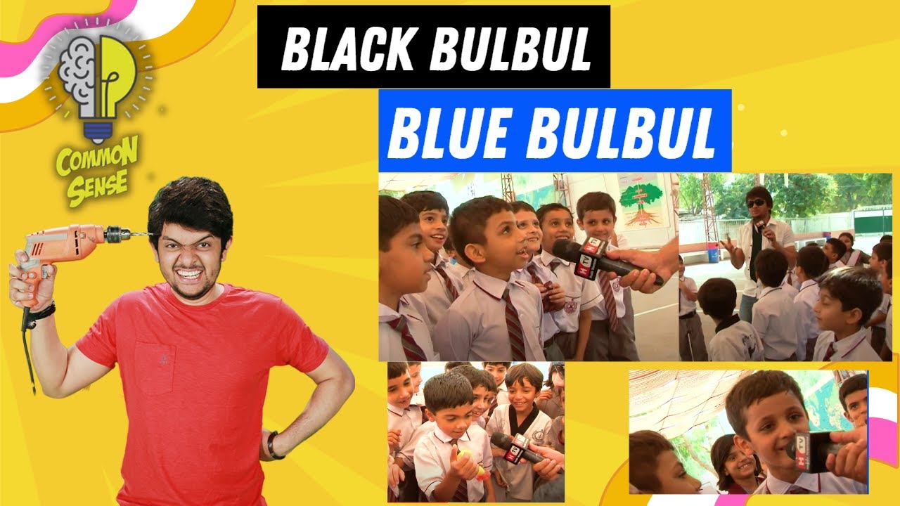 BLACK BULBUL BLUE BULBUL || COMMON SENSE ( TONGUE TWISTER ) - YouTube