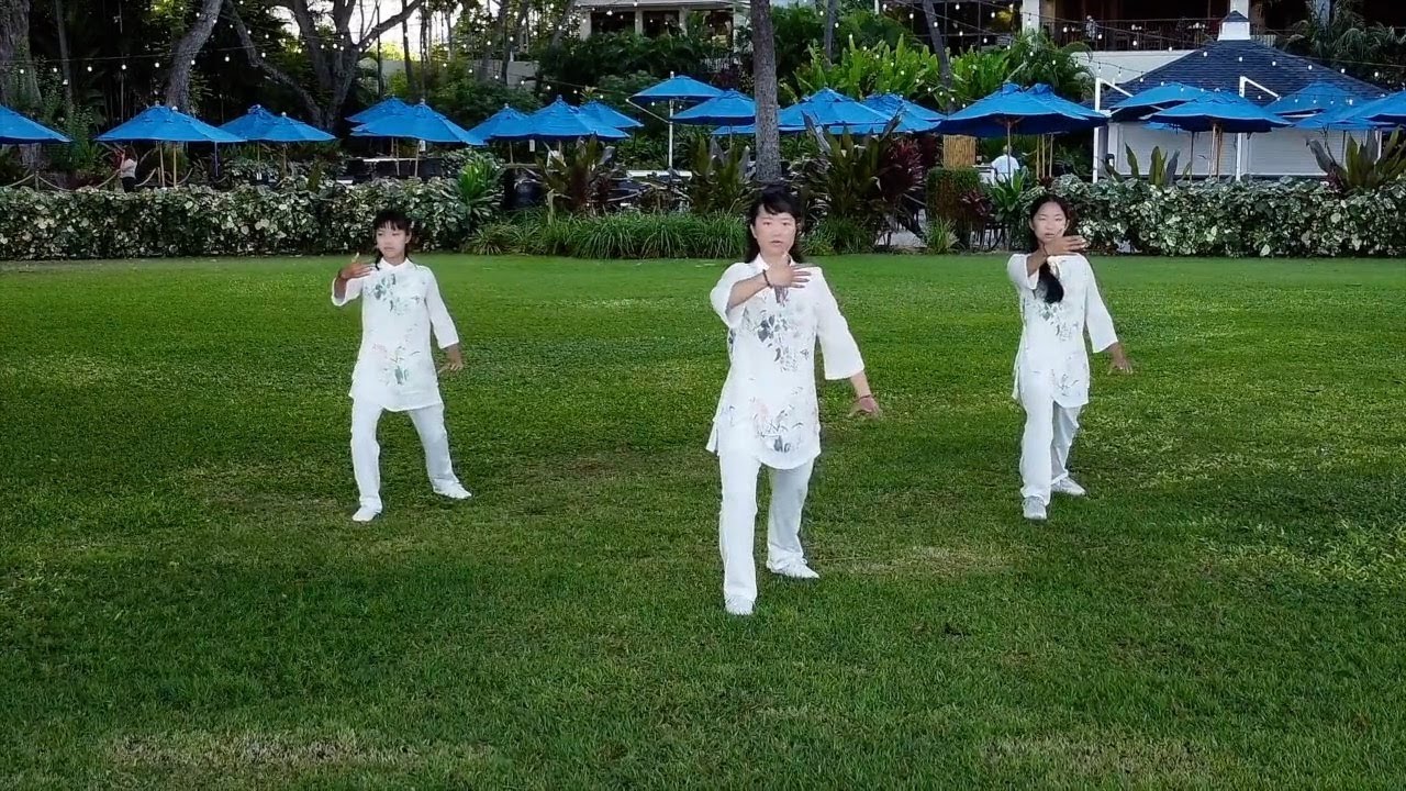 Tai Chi Bafa Wubu Back View Full Demo 太極拳八法五步背向全景示範 - YouTube