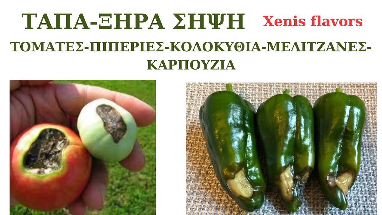 Ταπα στα Λαχανικα το Καλοκαιρι!. Προληψη-Συμπτωματα-Καταπολεμηση. Χenis ...