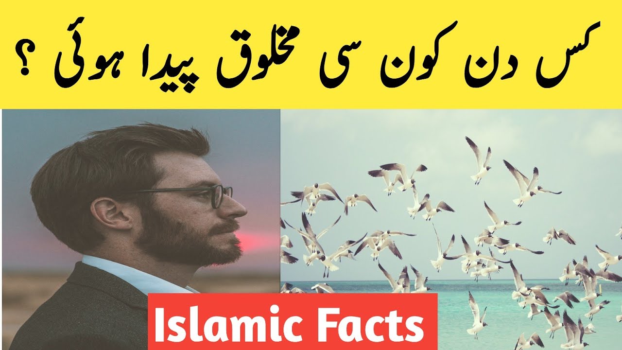 Islamic Facts | Makhlooq ki Paidaish ka Din | Bikhre Moti | Islamic ...