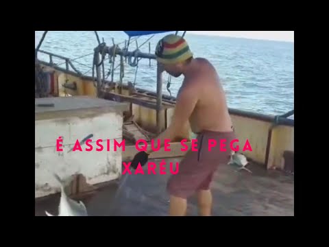 Aprenda pegar xaréu com isca improvisada ,vem comigo! #viral #pescaria #xareu #fishing#shortsvideo