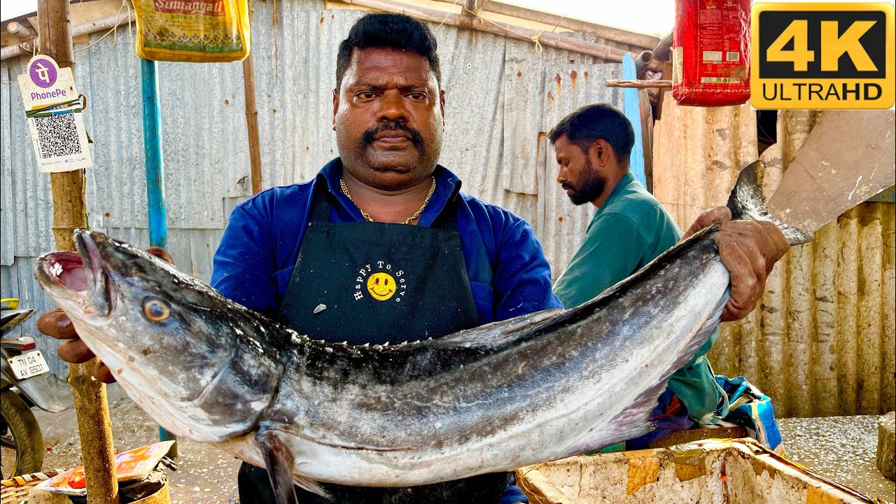 Kadora fish cutting video/fishcuttingrs#fish #kasimedu #fishcuttingrs ...