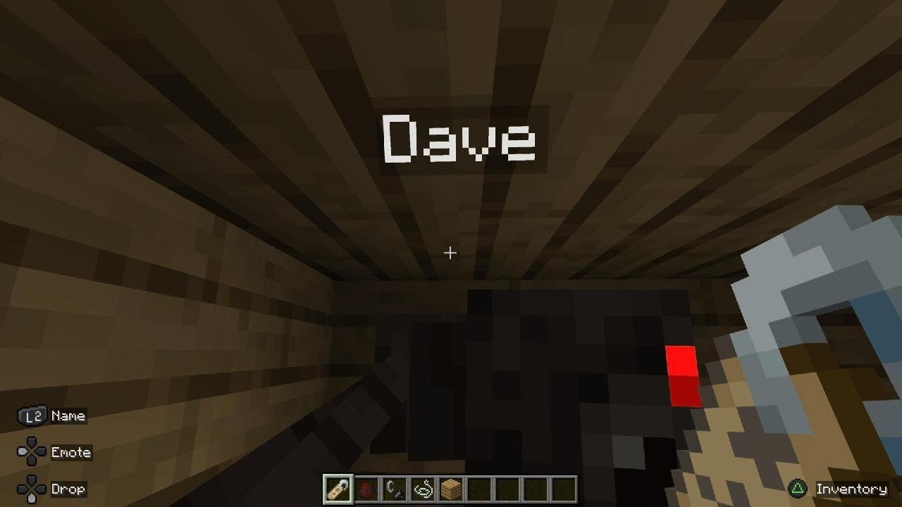 Spider dave - YouTube