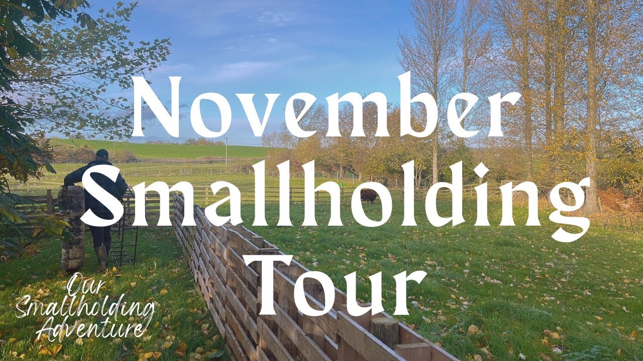 Life on a Smallholding: November Tour & Winter Prep - YouTube