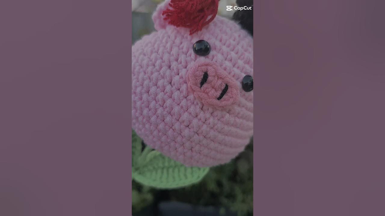 em heo ú đã tốt nghiệp - YouTube