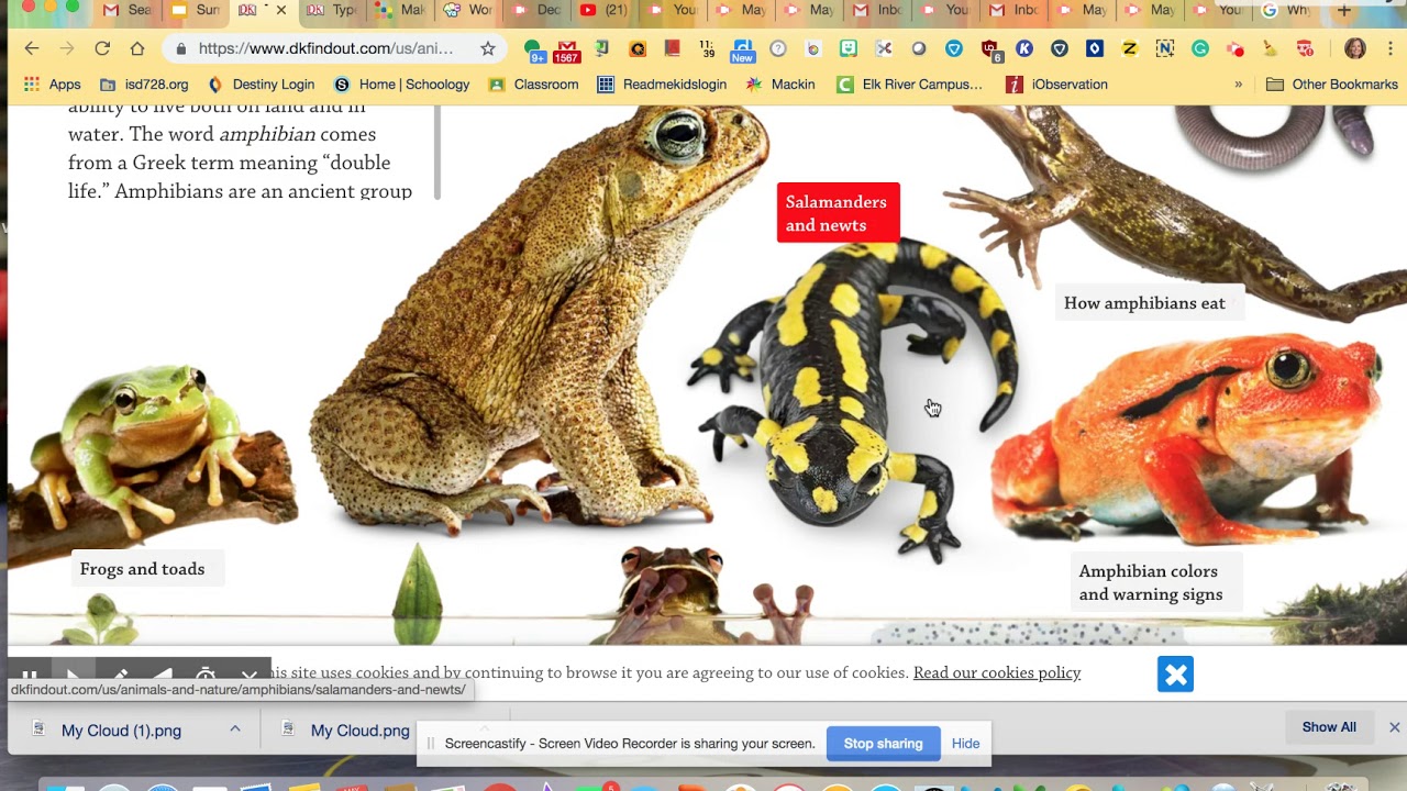 DK Find Out - YouTube