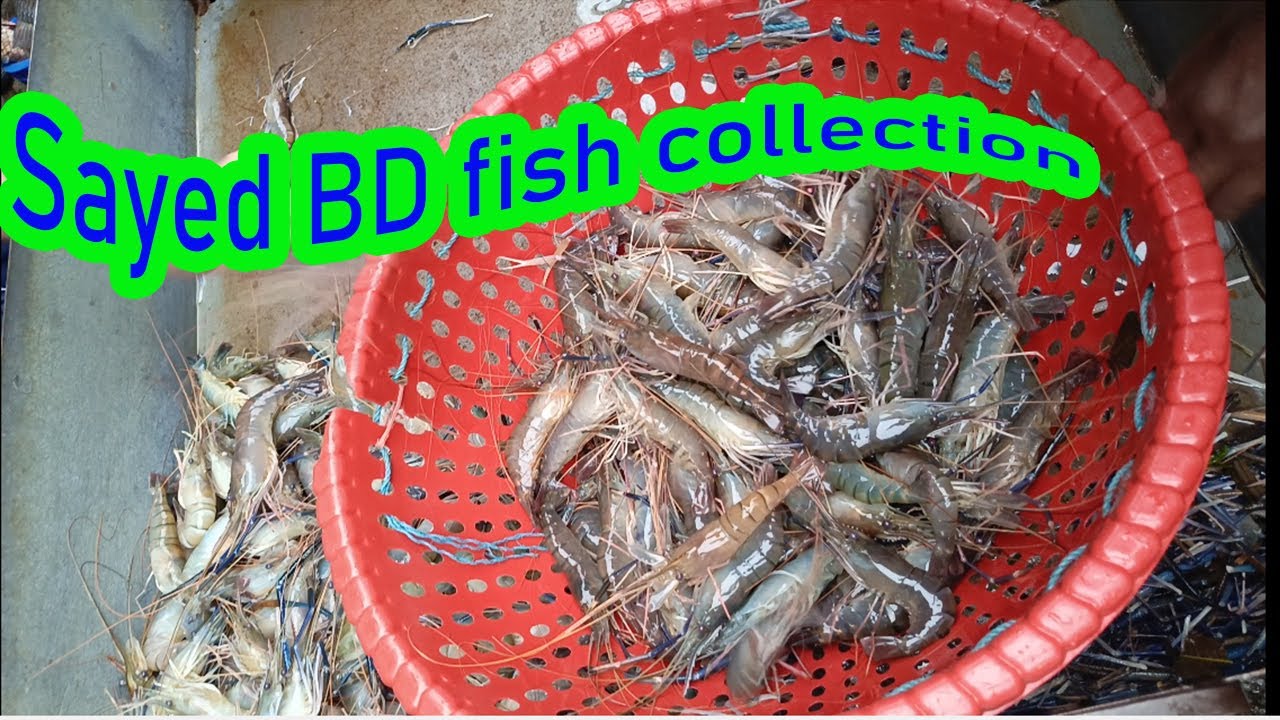 The Easy Way to Catch Fish in Just 30 Minutes! - YouTube