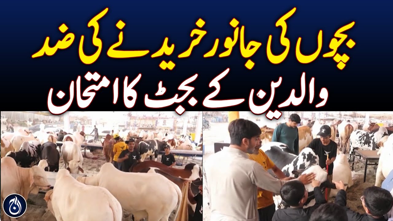 Kids Demand Animals, Parents Face Budget Test - Aaj News - Videos - Aaj ...