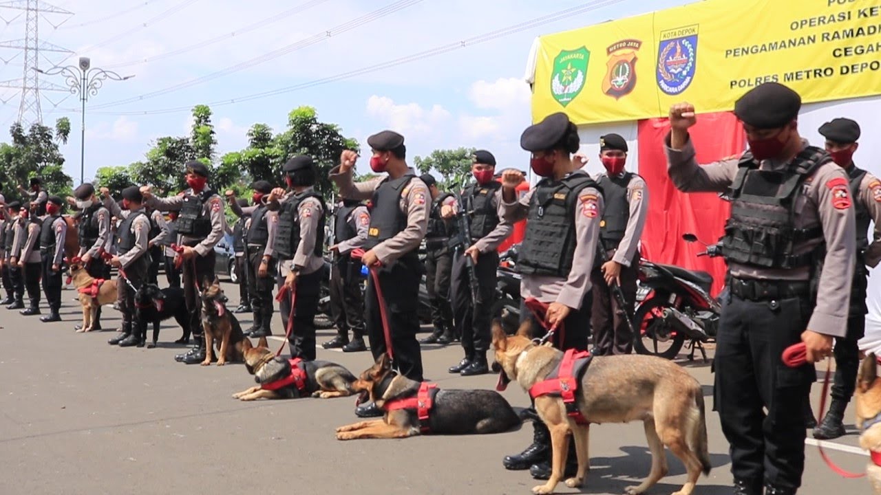 Patroli Gabungan Direktorat Polisi Satwa - YouTube
