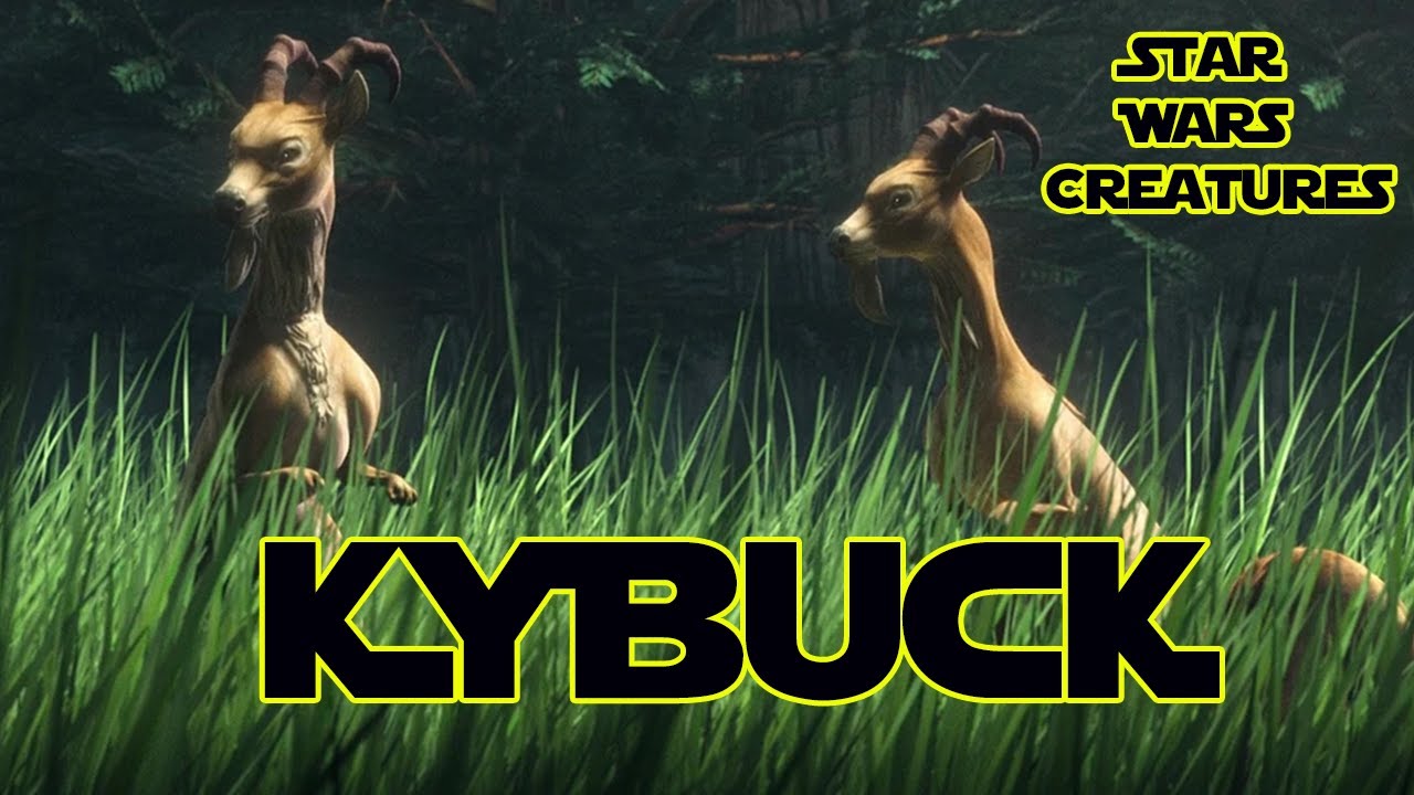 Kybuck | Star Wars Creatures - YouTube
