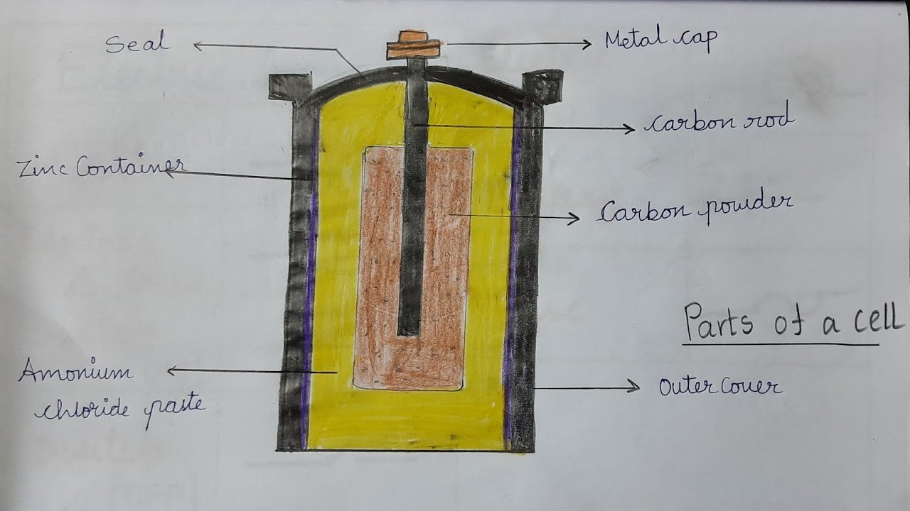 How To Draw Parts Of Cell Battery Battery Parts Drawing Science Diagram how-to-draw-parts-of-cell-battery-battery-parts-drawing-science-diagram