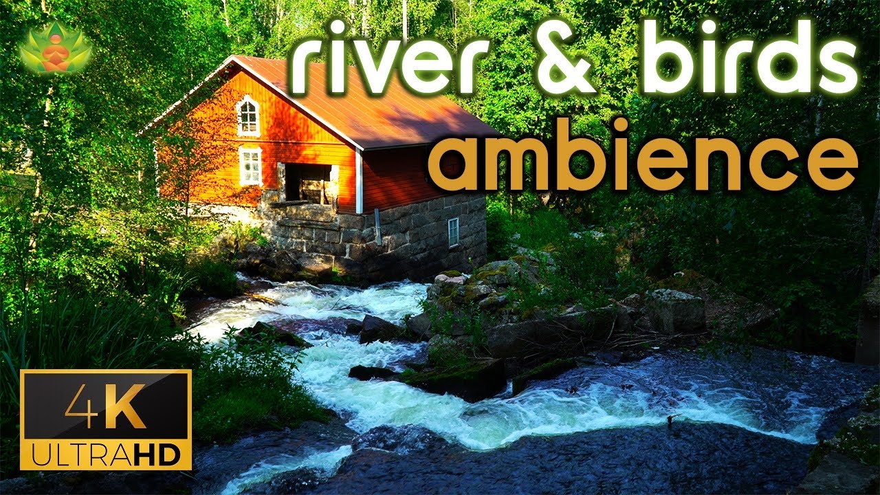River and Birds Ambience | River Sounds | Nature Sounds | Relaxing ...