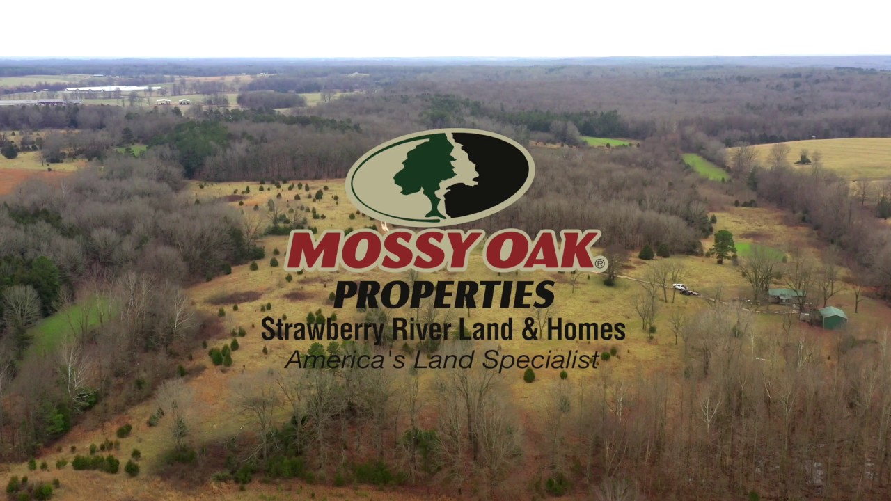 120 +/- acres, Lawrence County, Strawberry Arkansas with a cabin - YouTube