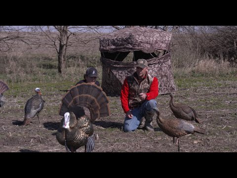 How to Bring In Hung Up Turkeys | Utilize Decoy Movement to Fool Birds ...