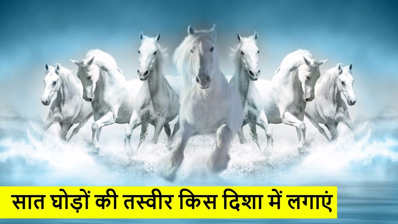 saat ghode ki photo kis disha mein lagaye || सात घोड़ों की तस्वीर किस ...