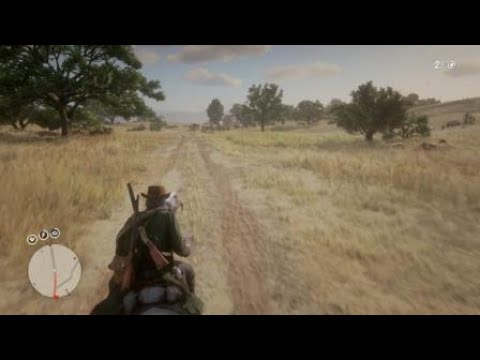 Red Dead Redemption 2 The First Time I Seen The Donkey Lady - YouTube
