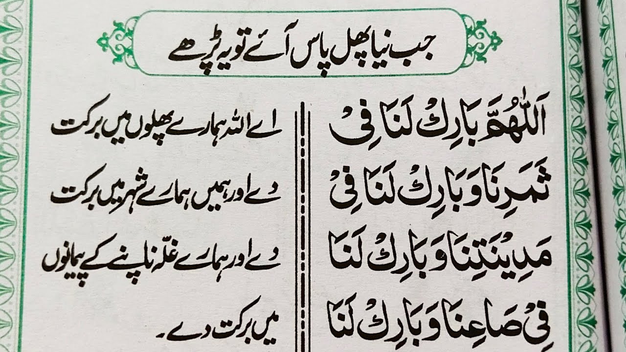 Dua For Eating New Fruit || Dua when Eating New Fruit || Naya Phal ...
