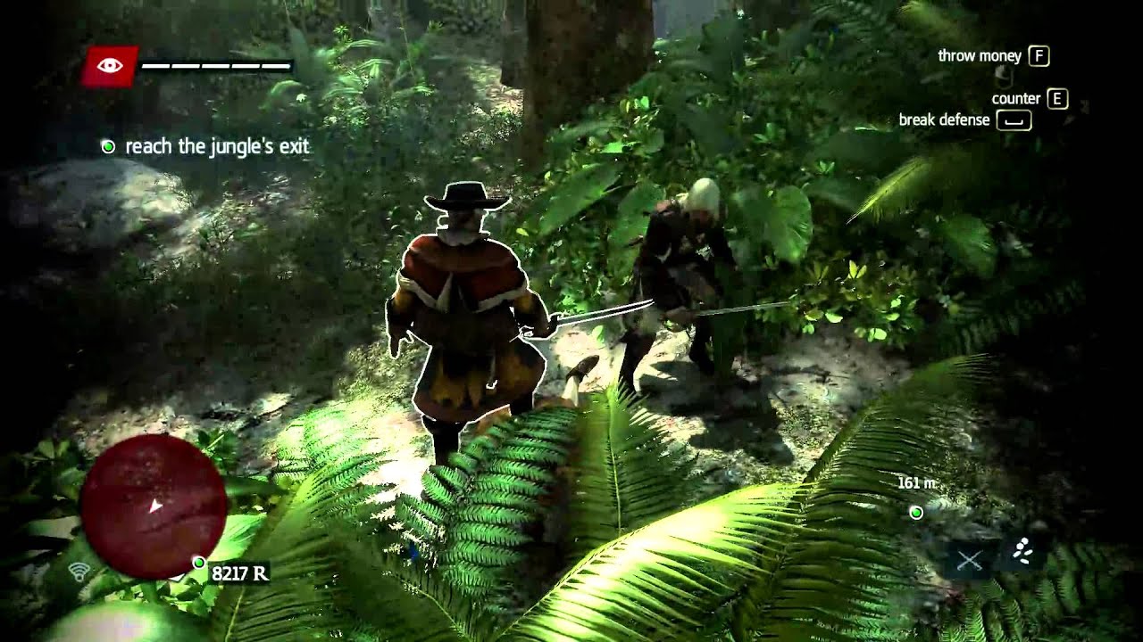 Assassin's Creed Black Flag 1080p gameplay Max Settings with Sapphire ...