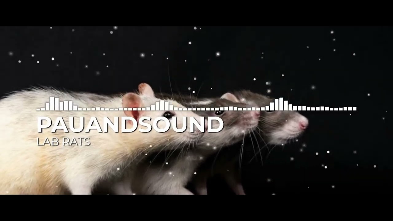 LAB RATS - YouTube