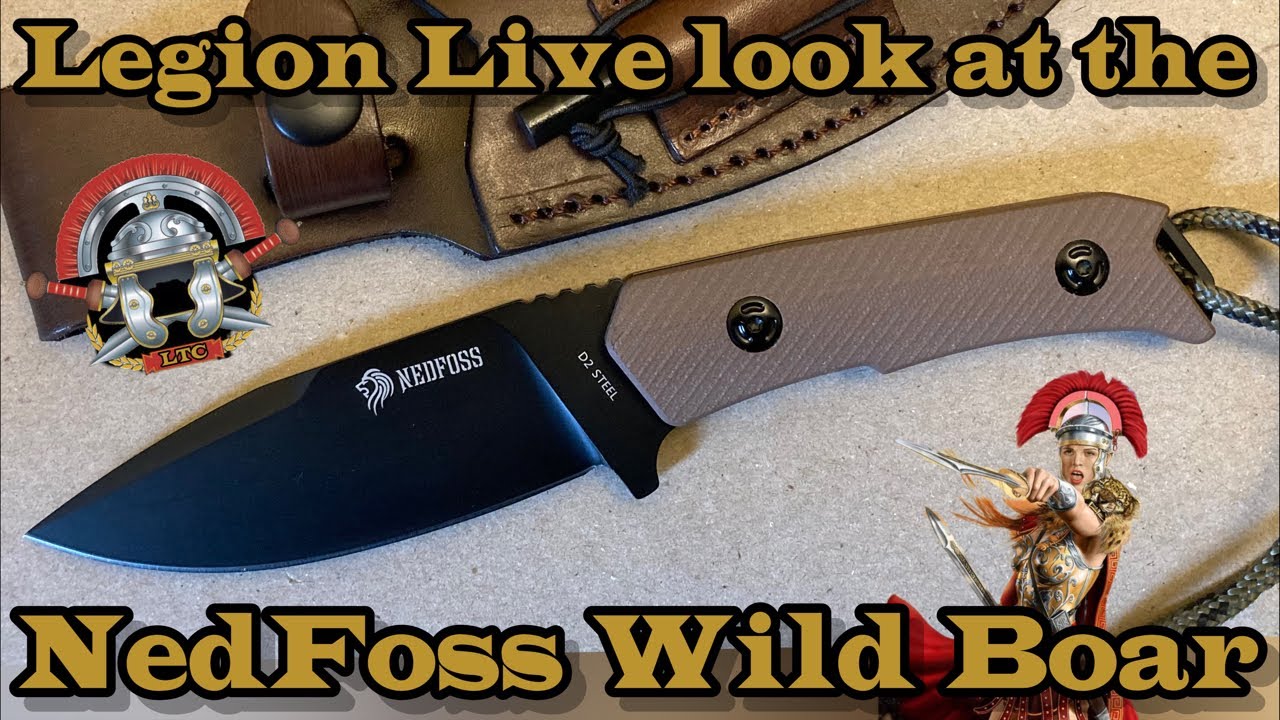 Legion Live look at the NedFoss Boar Hunter! - YouTube