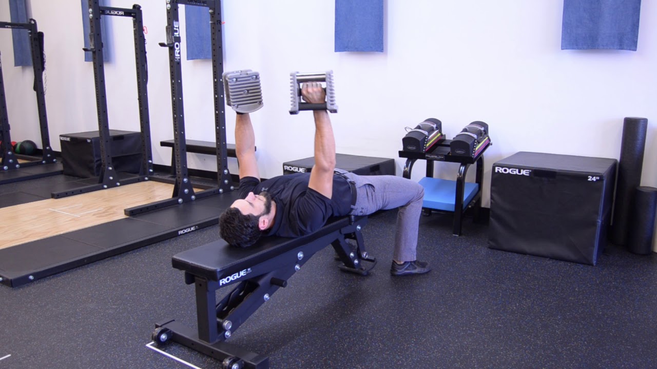 Dumbbell Bench Press - Exercise Demonstration - YouTube
