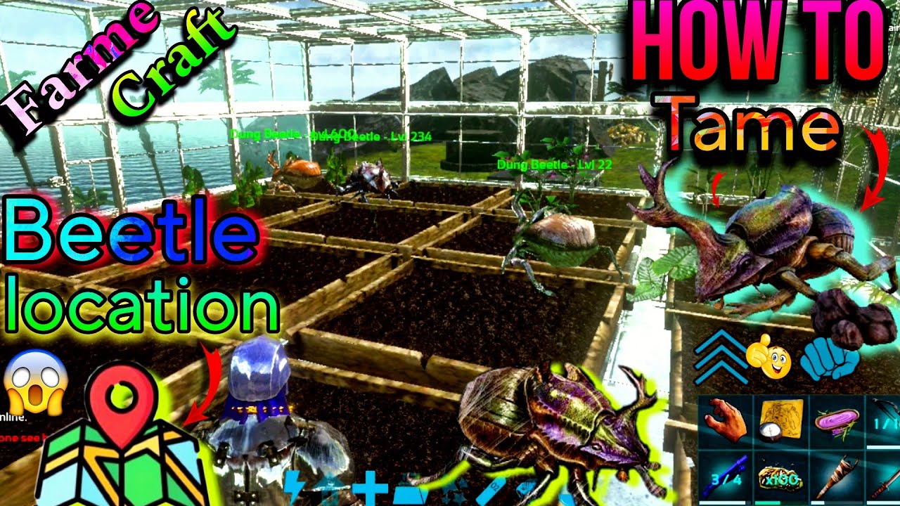 How to Tame Dung Beetle || Farme craft || Dung beetle location ...