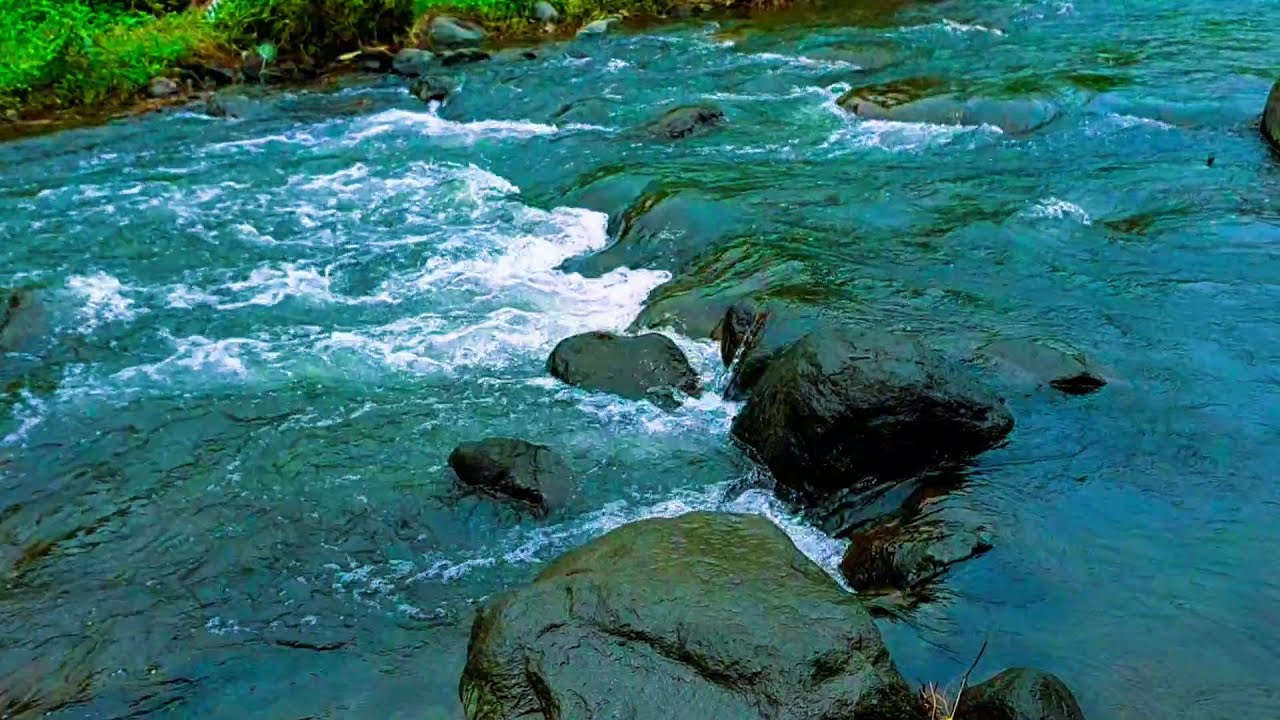 Babbling Brook, Creek Sounds, Water Stream Relaxing Nature Sounds ...