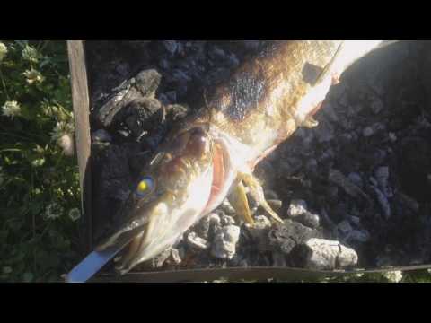 Наши выходные! Сургут 2017