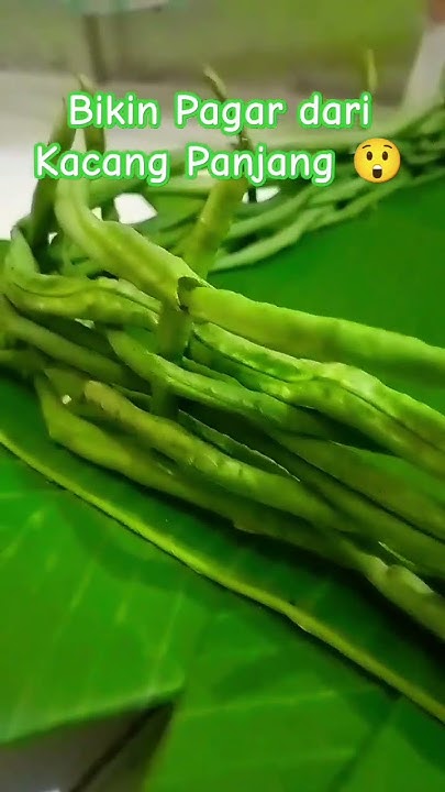Part 3 | Pagar Kacang Panjang untuk Dekor Wadah Tumpeng 😉 - YouTube