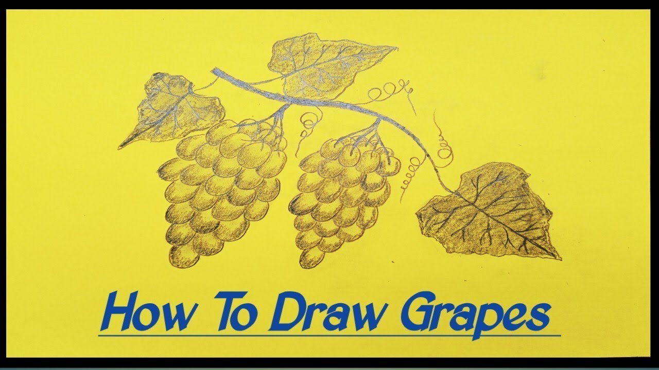 How To Draw Bunch Of Grapes / Grapes Drawing In Easy Steps - YouTube