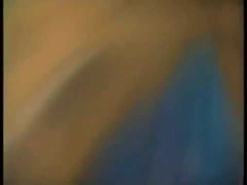 نهاية جميع كواكب سبيس تون 2007 (Reverse)