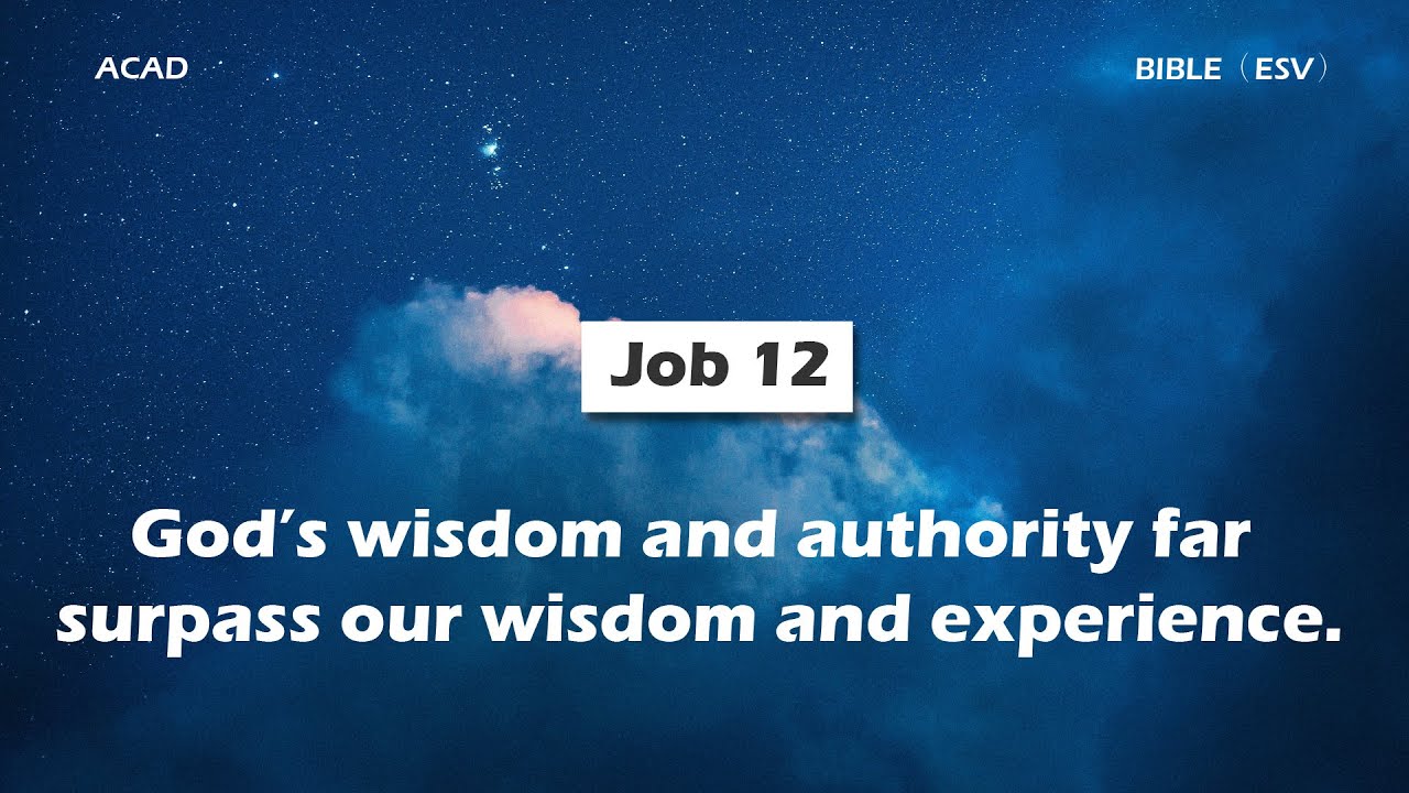 Job 12 】God’s wisdom and authority far surpass our wisdom and ...