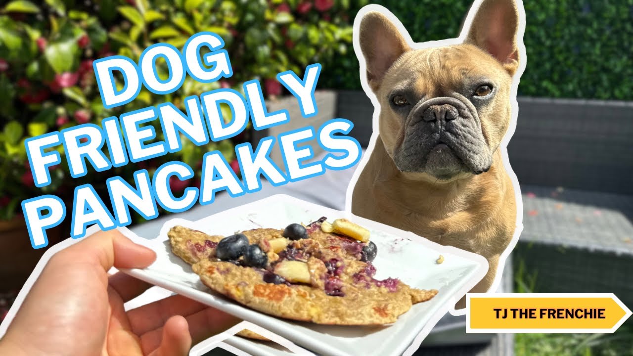 Dog Friendly Pancake Recipe 🥞 | Simple 2 Ingredient Pancake Recipe For ...
