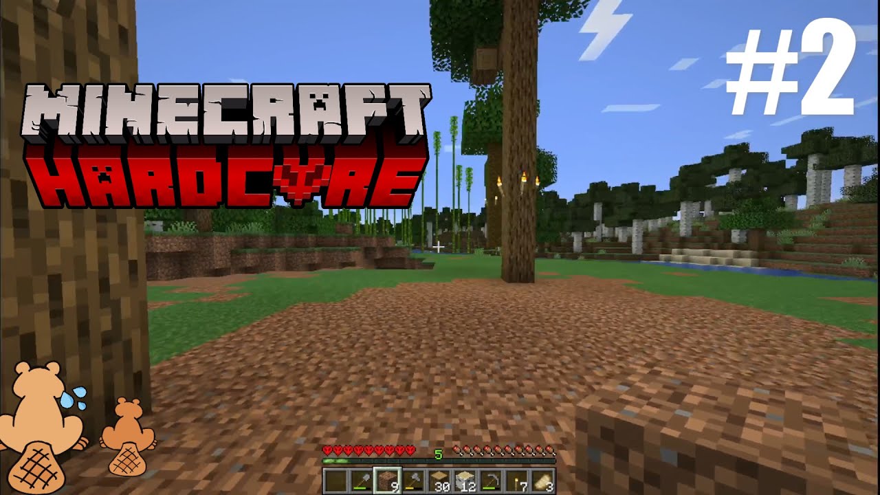 Minecraft Beaver Hardcore - Water Cave Exploration and Excavation #2 ...