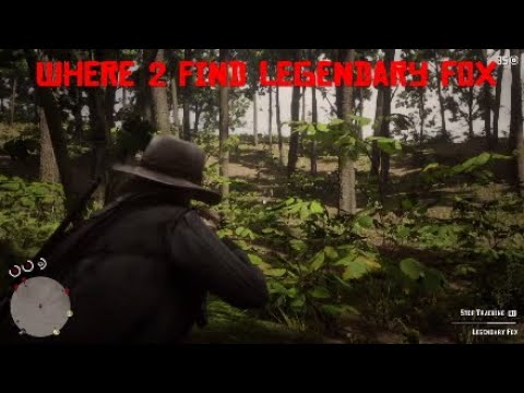 Where To Find The LEGENDARY FOX In Red Dead Redemption 2! - YouTube