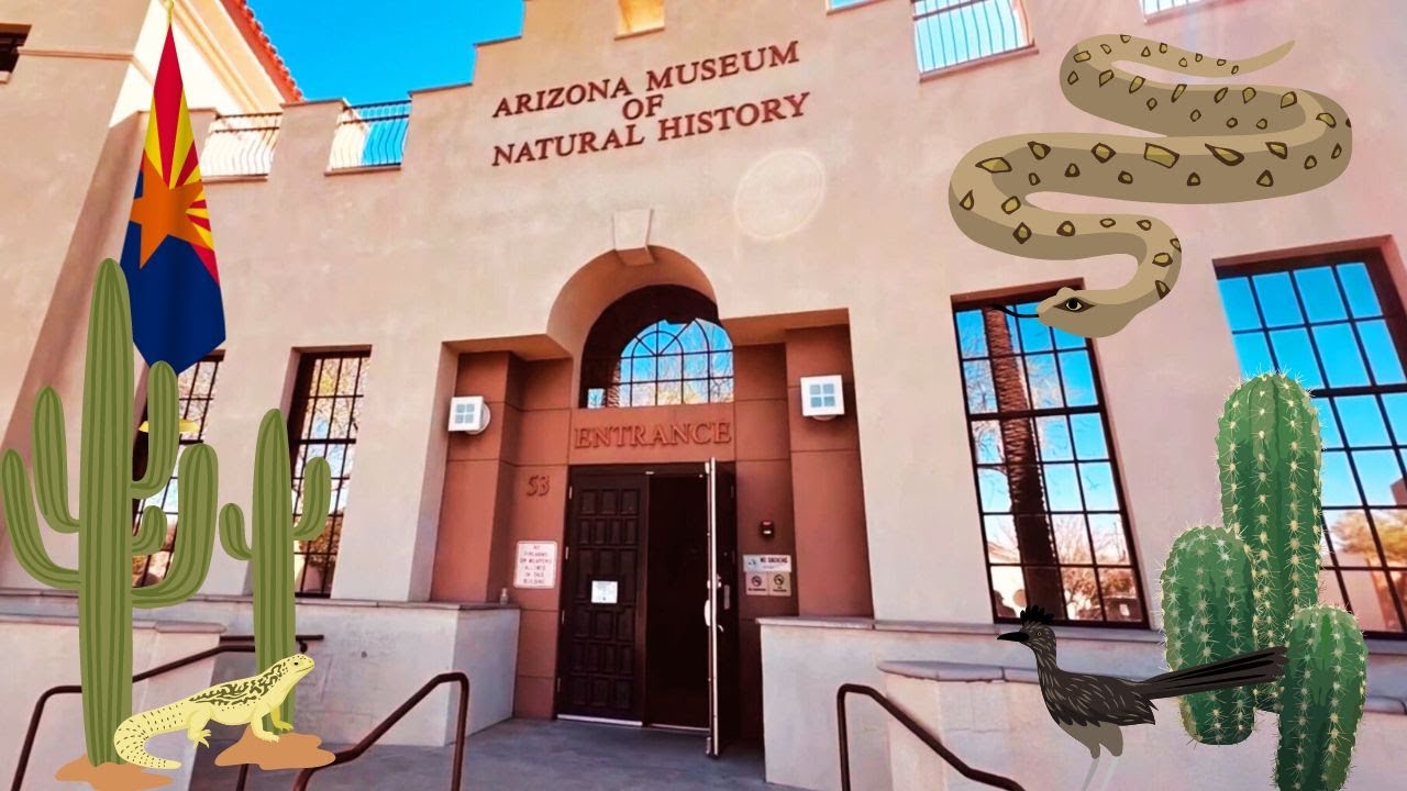 Experience Arizona Wonder at The Only Natural History Museum in The ...