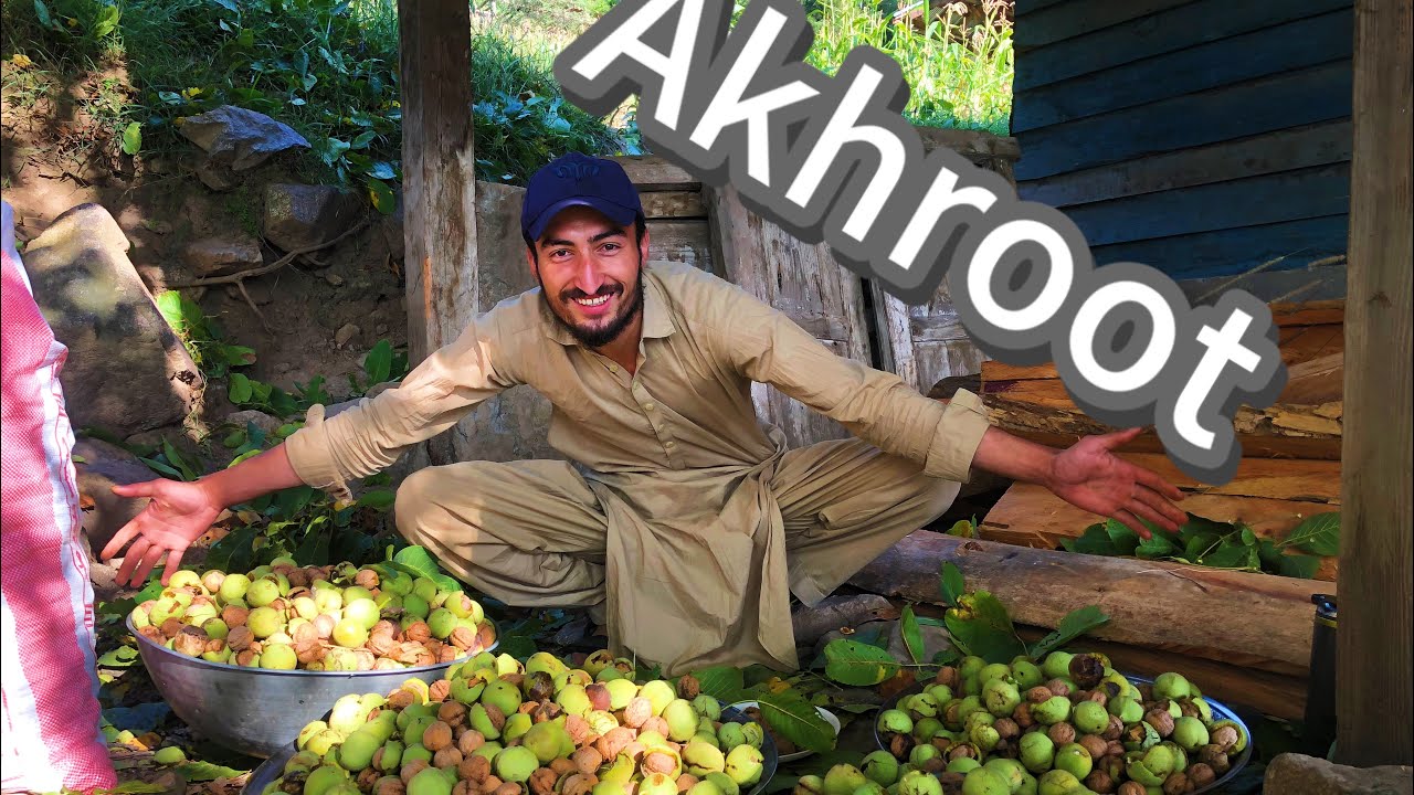 Akhroot tory aj apny gawon sharakot valley my #billas #wallnuts - YouTube