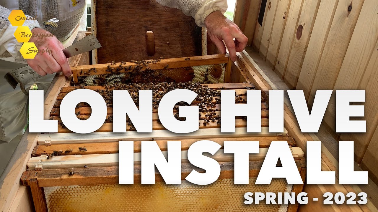 Long Hive Install by a Professional Beekeeper [Late Spring - 2023 ...