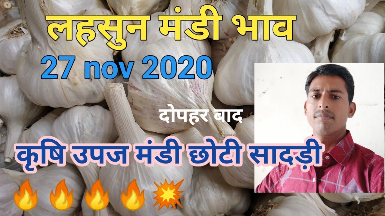 Today mandi rate,lahsun mandi bhav, Garlic price, लहसुन मंडी भाव, 27 ...