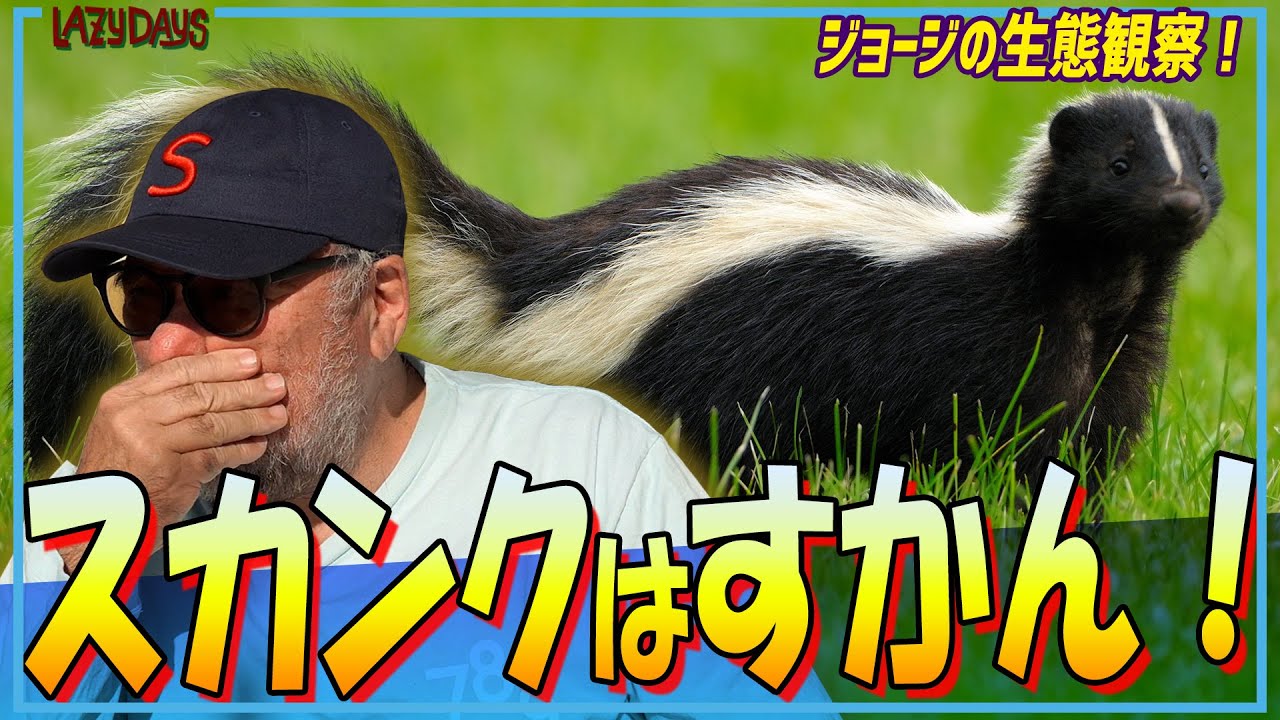 スカンクはすかん！/I hate skunks! - YouTube