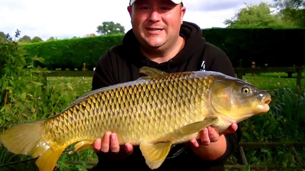 Welham Lake Carp Fishing (Cast-A-Line Heseltine) - YouTube