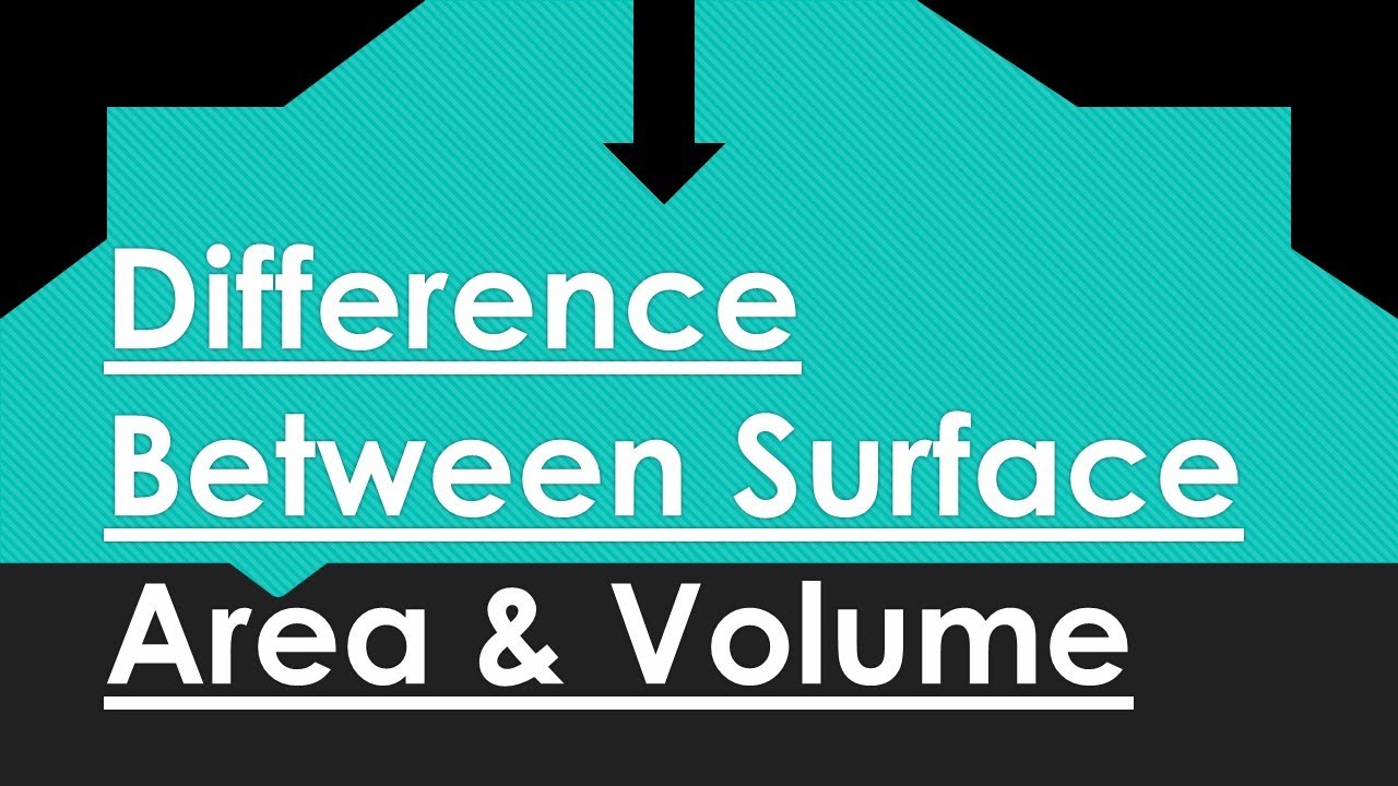 Difference Between Area & Volume - YouTube