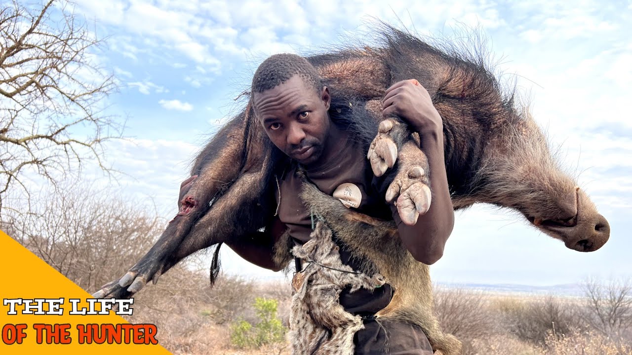 Hadza Tribe | Bush Pig Hunt and Capture - YouTube