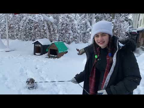 LOUIE İLE KAR KEYFİ ❄️